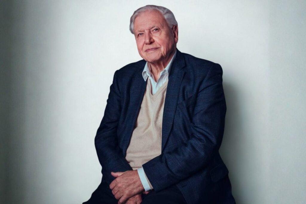 What Is Sir David Attenborough Net Worth? – Honest Figure